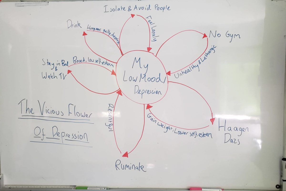 The Vicious Flower of Depression - Hope Rehab Center Thailand